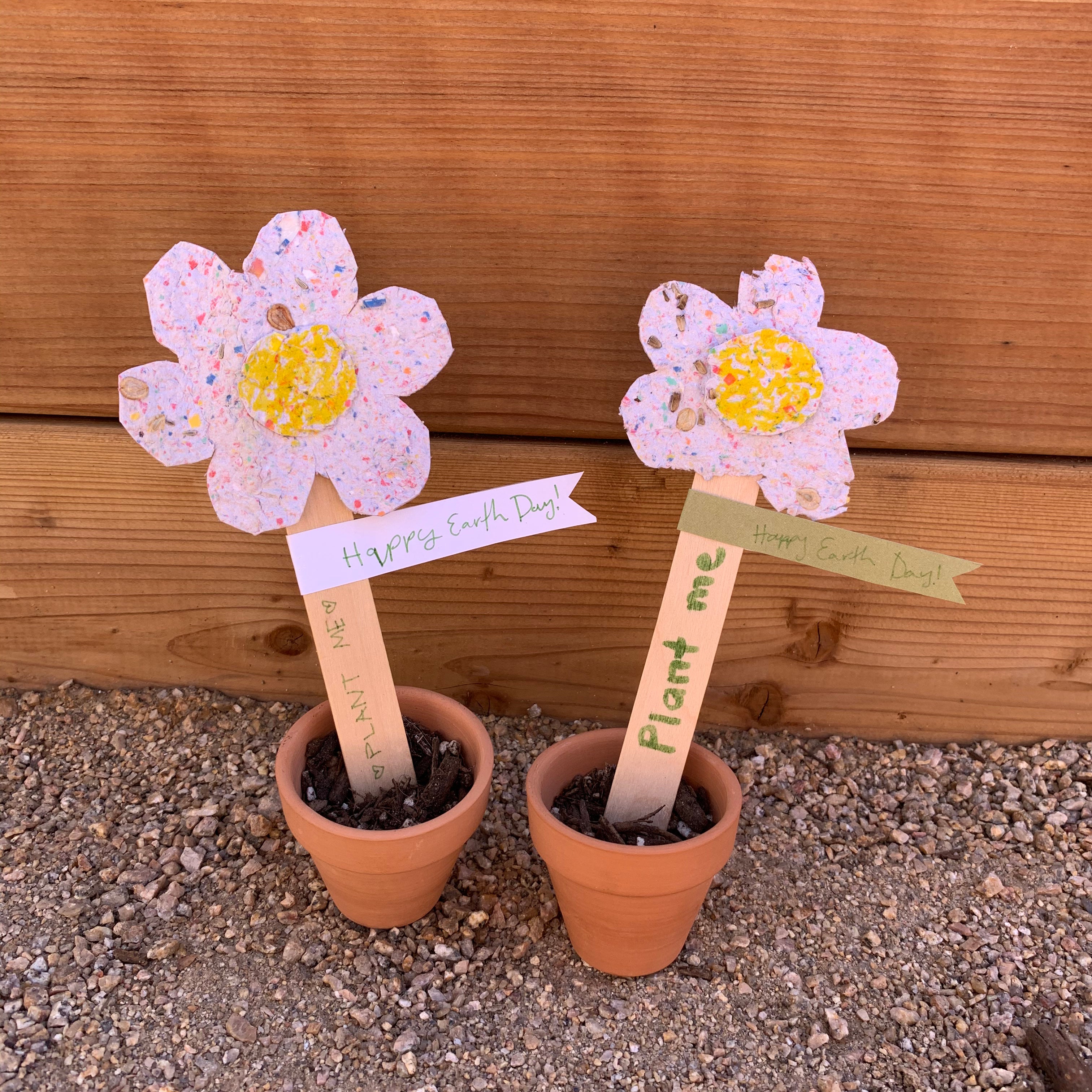 DIY Plantable Seed Cards – Lucy Darling